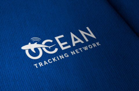 Forest Friend Creative Projects | Alchemical Co-Creation